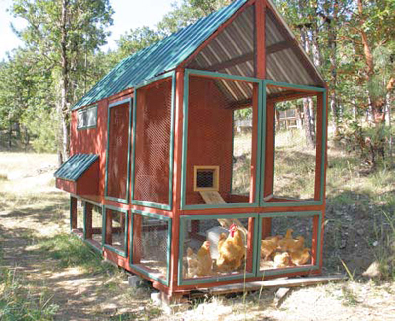 DIY Easy Clean Chicken Coop Idea - Backyard Poultry